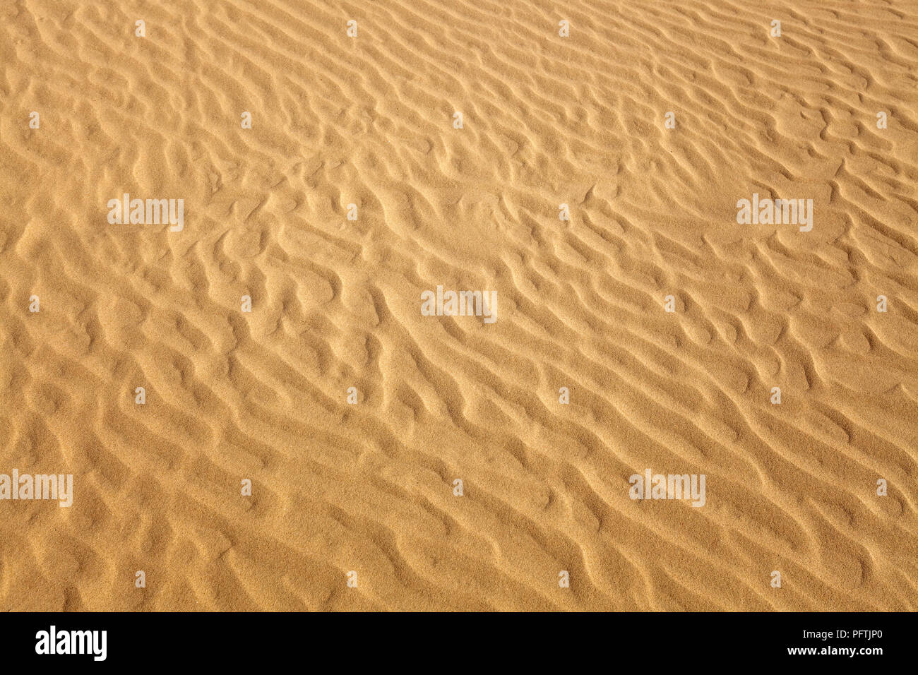Desert sand hi-res stock photography and images - Alamy