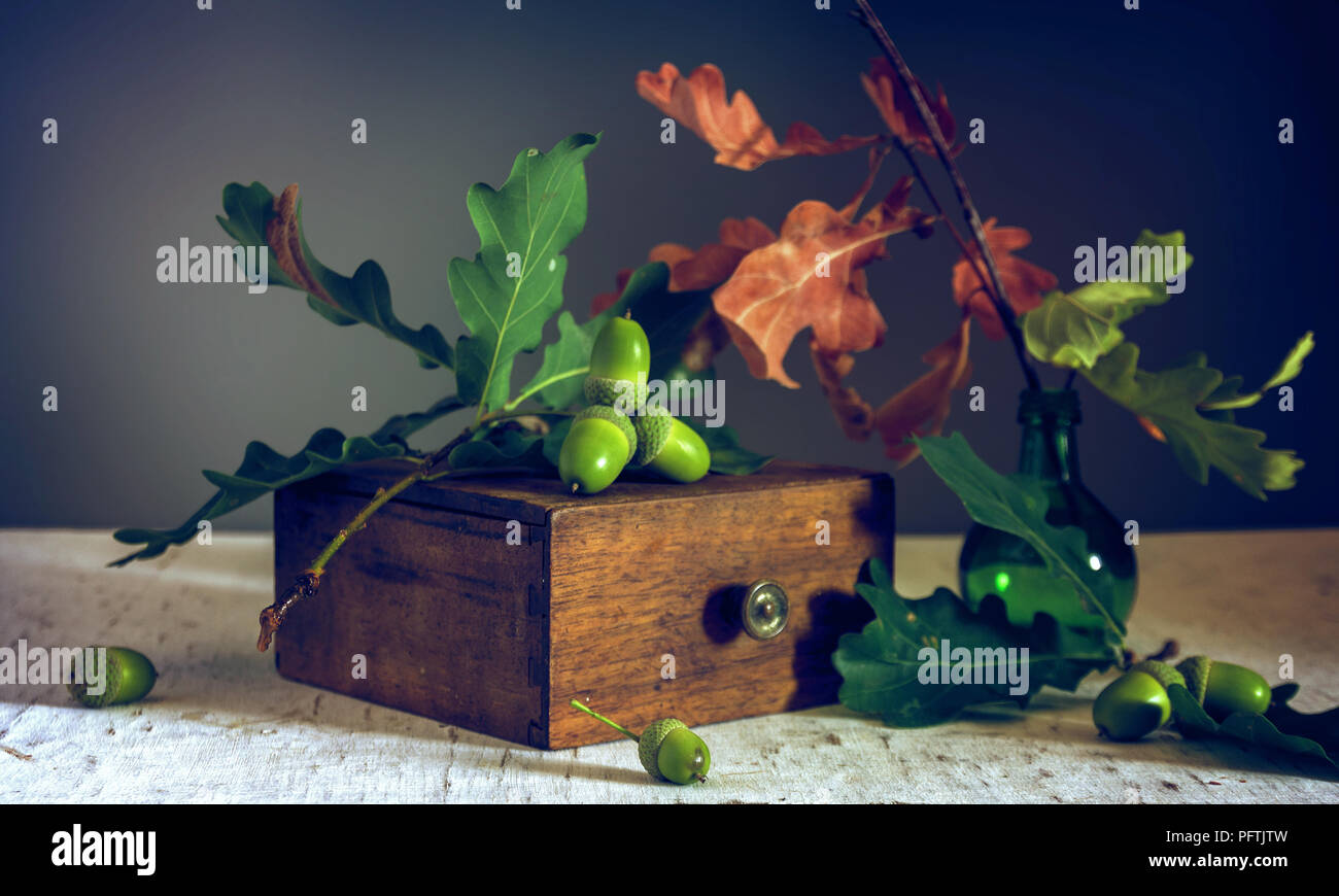 still life with a branch of oak and acorns. vintage Stock Photo - Alamy