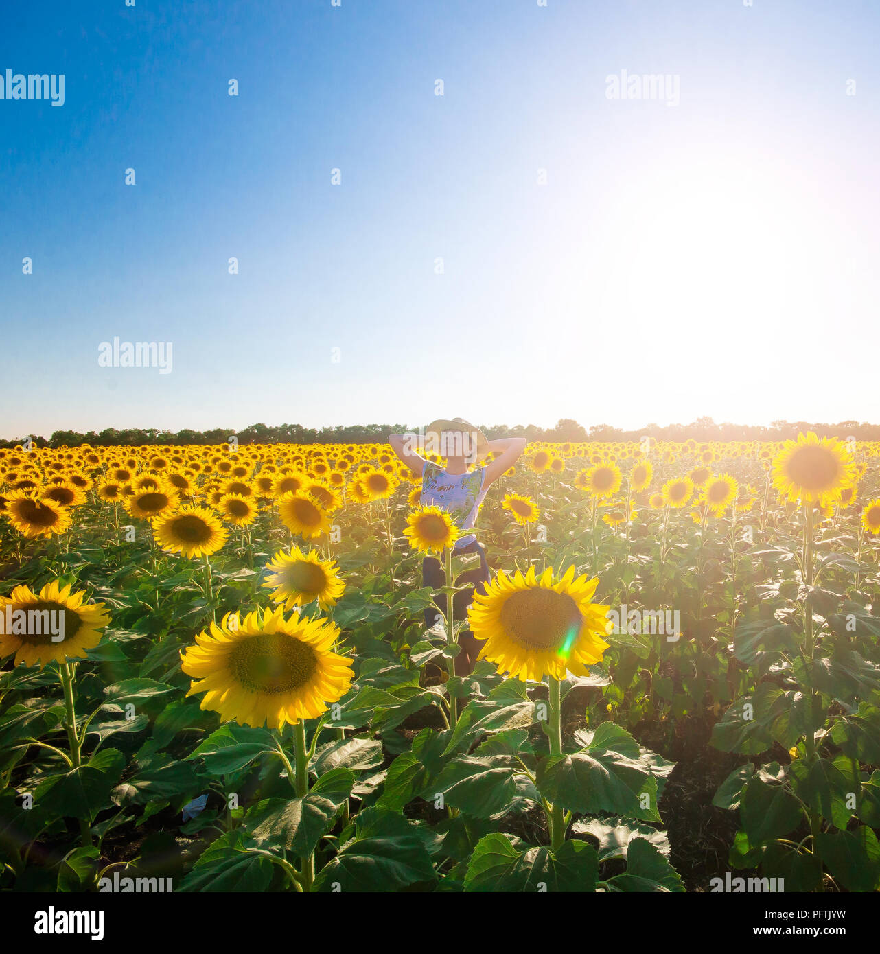 Timofeeva hi-res stock photography and images - Alamy