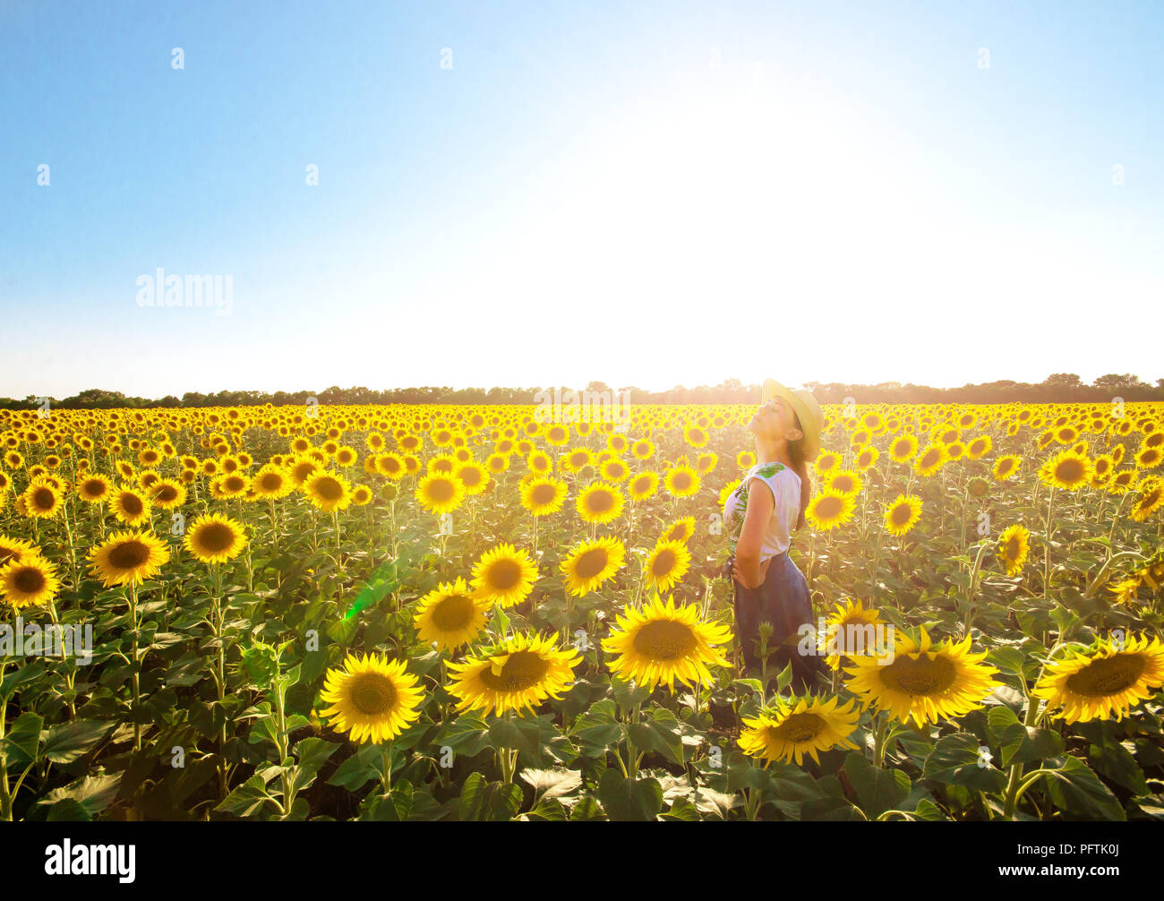 Timofeeva hi-res stock photography and images - Alamy