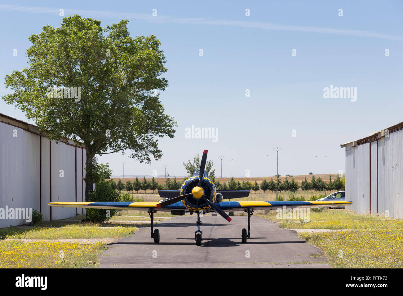 single-engine and sport-type aircraft in a frontal portrait Stock Photo ...