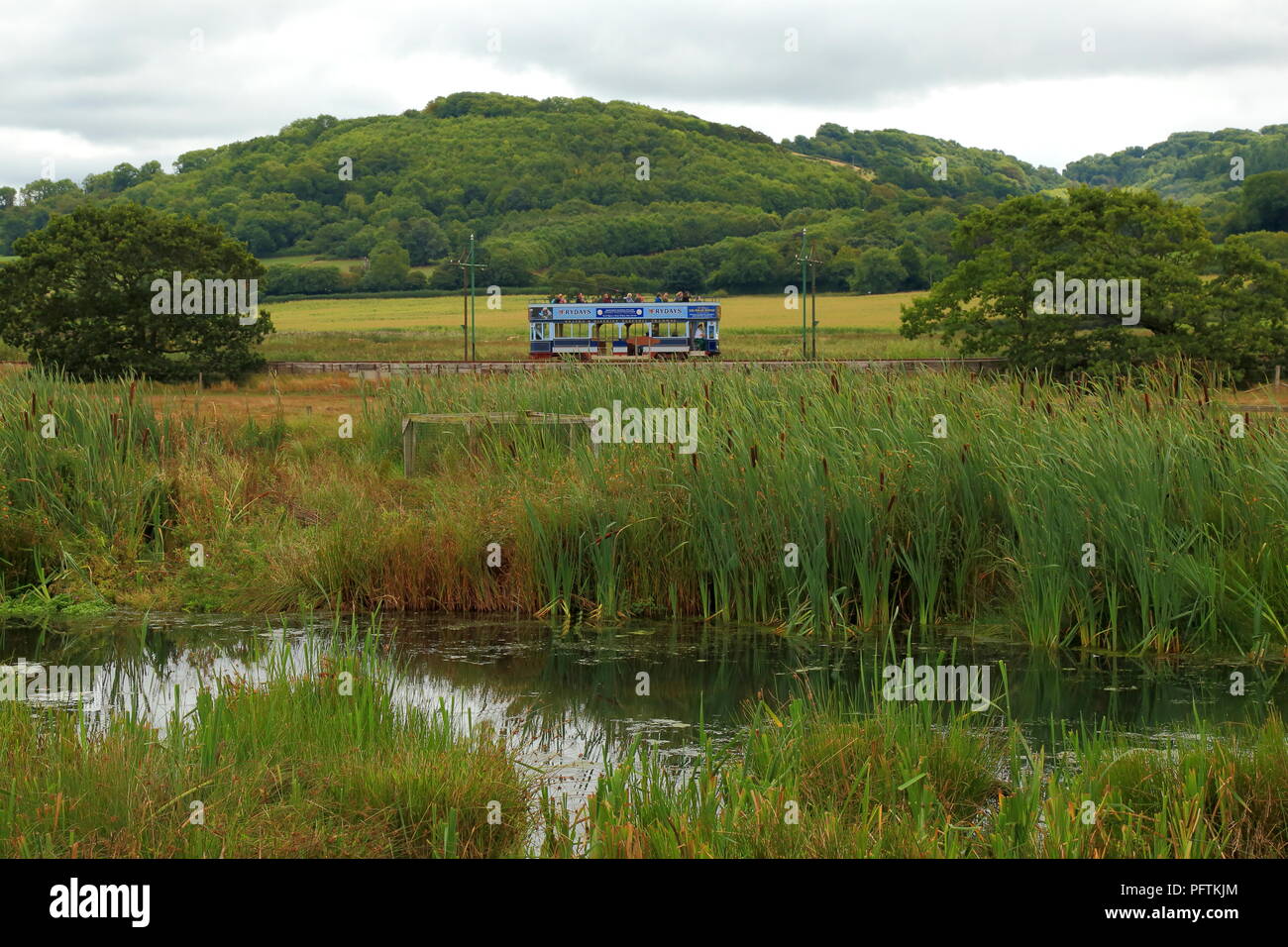 Seaton Tramway passing through Colyford Common part of Seaton Wetlands ...