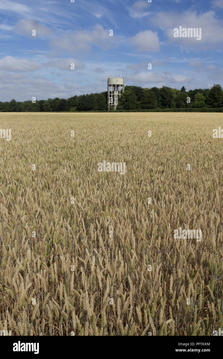 Concrete water tower hi-res stock photography and images - Alamy