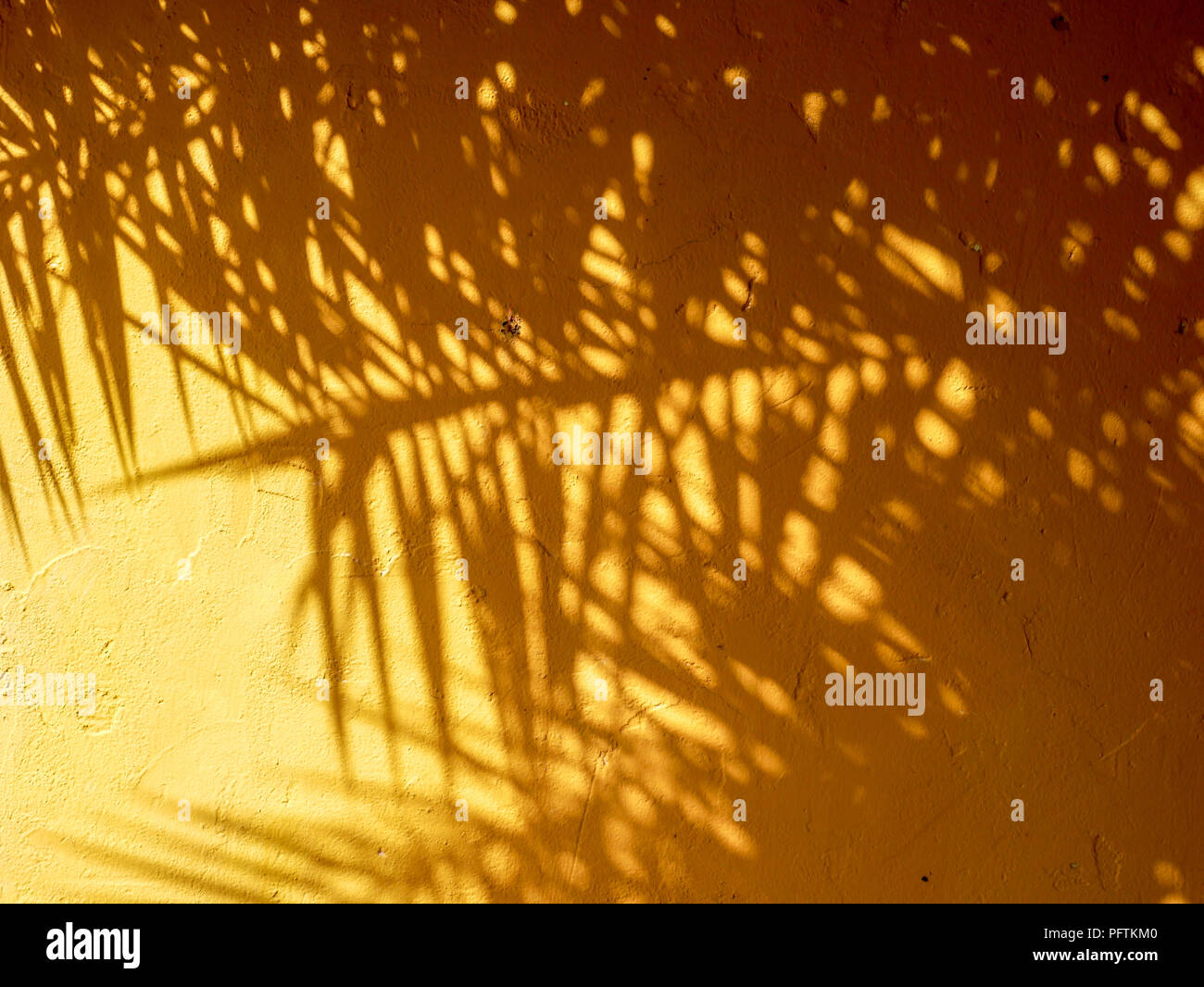 abstract background texture of shadows leaf on yellow concrete wall ...