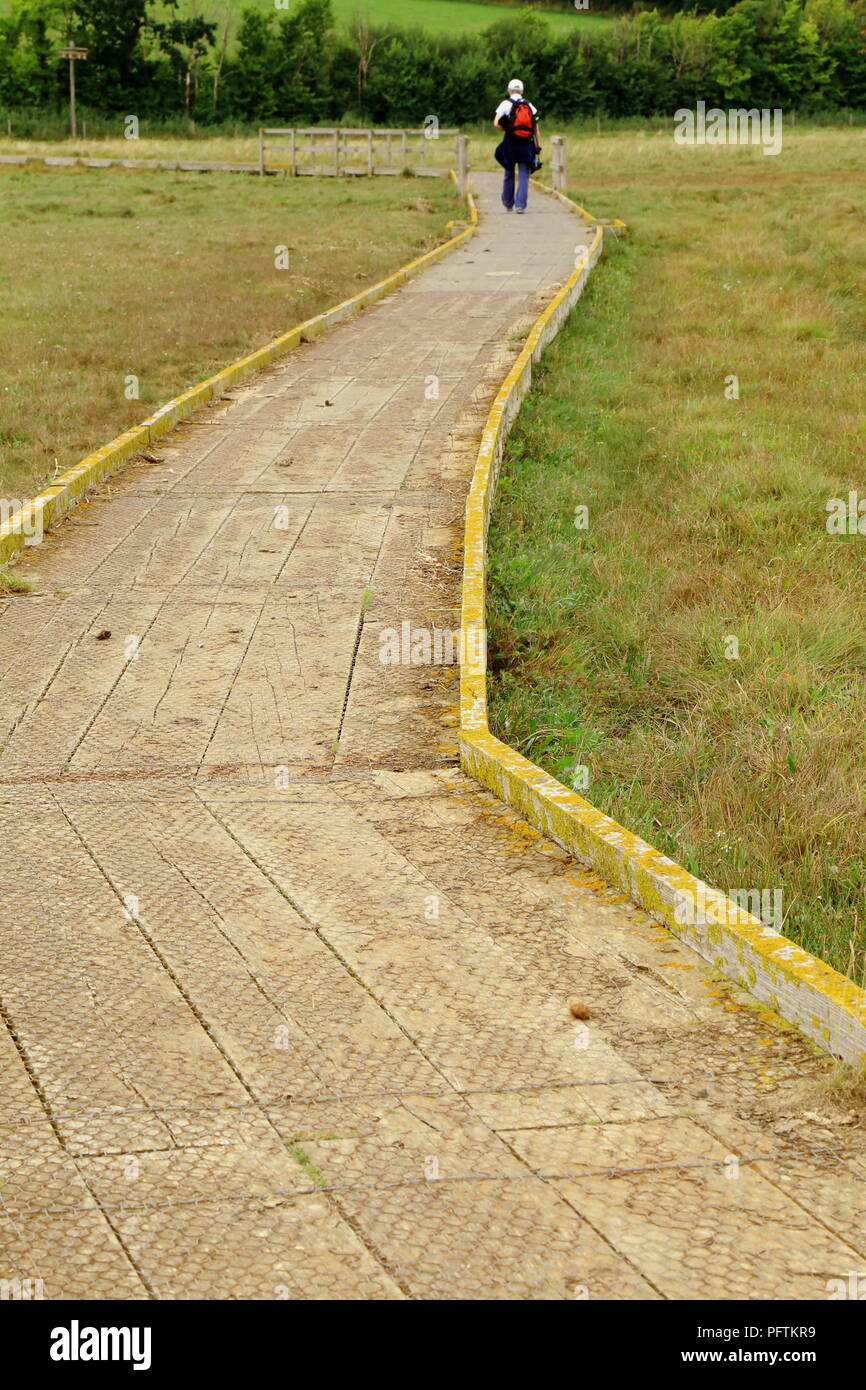 Wooden pathway in nature hi-res stock photography and images - Alamy