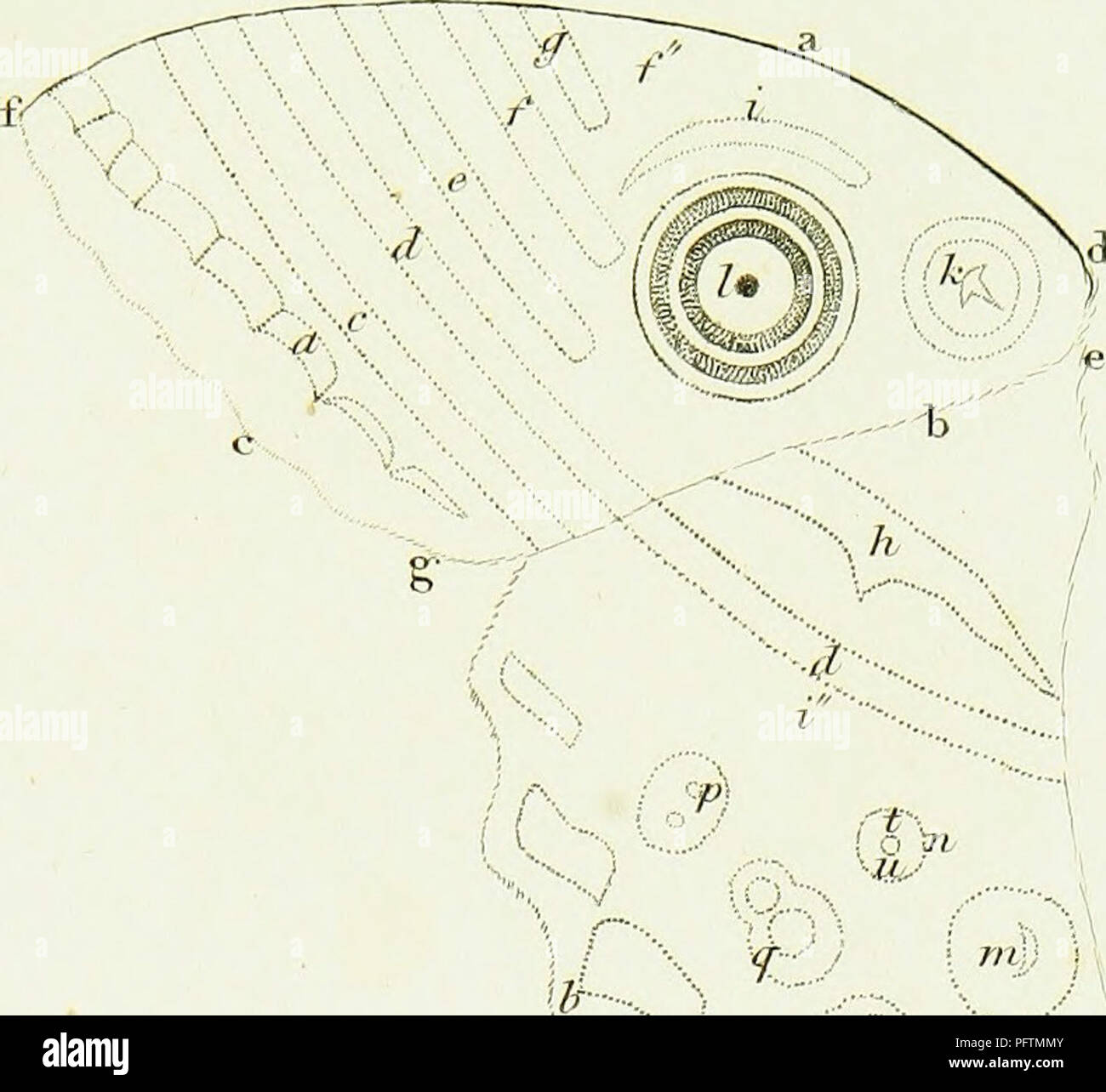 A continuation of the previous work, this volume delves deeper into the ...