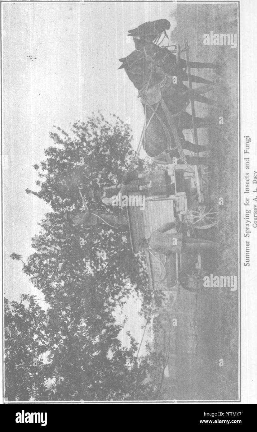 This guide offers practical advice on orcharding and fruit cultivation ...