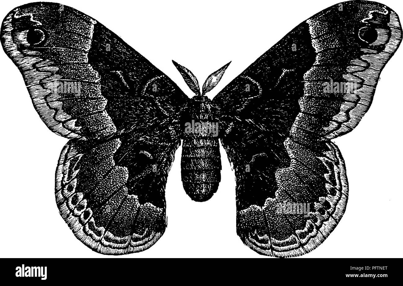 Discal spot hi-res stock photography and images - Alamy