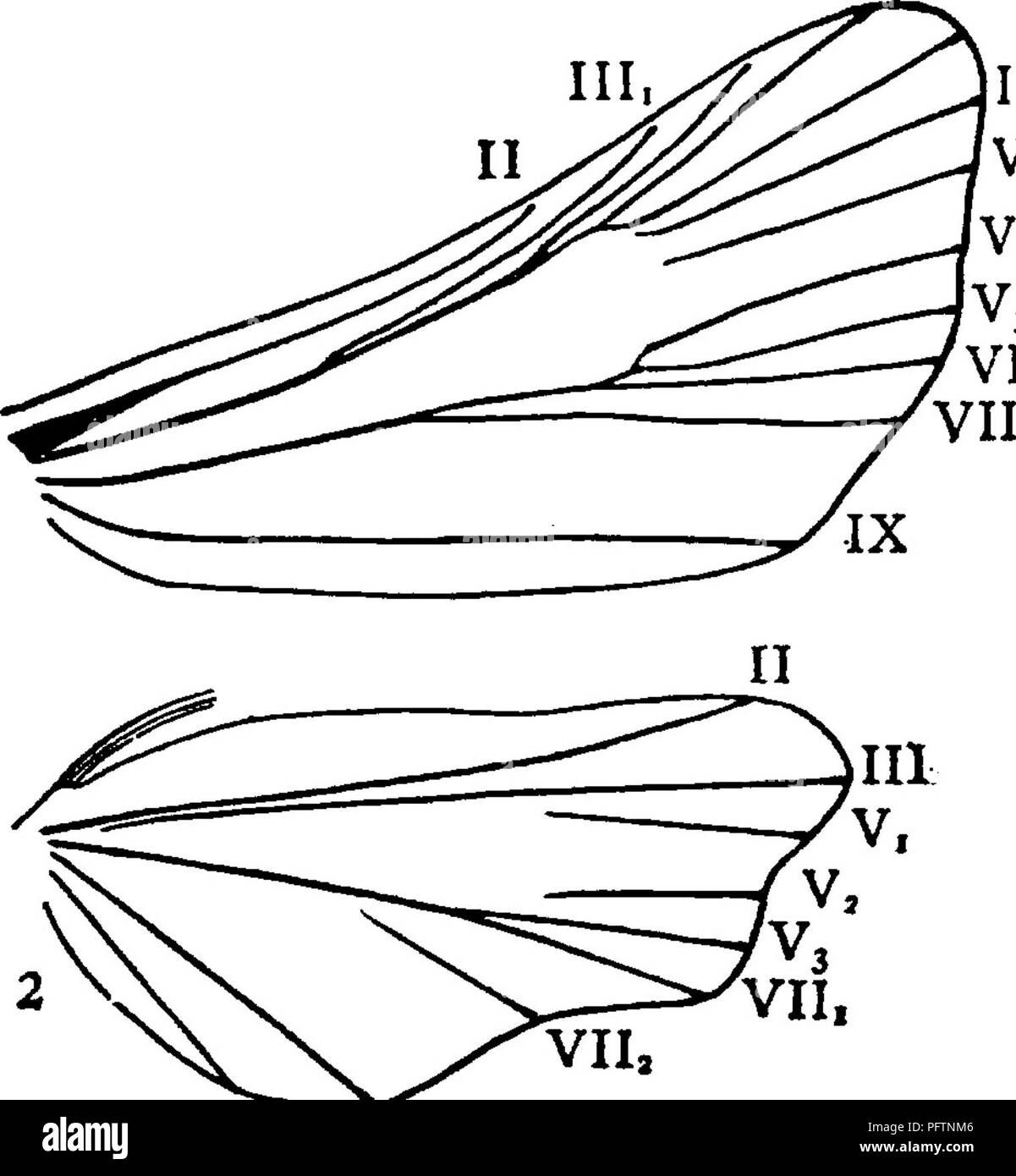 This manual outlines methods for studying insects, including specific ...