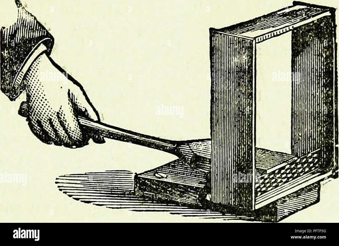 . The illustrated Australasian bee manual and complete guide to modern ...