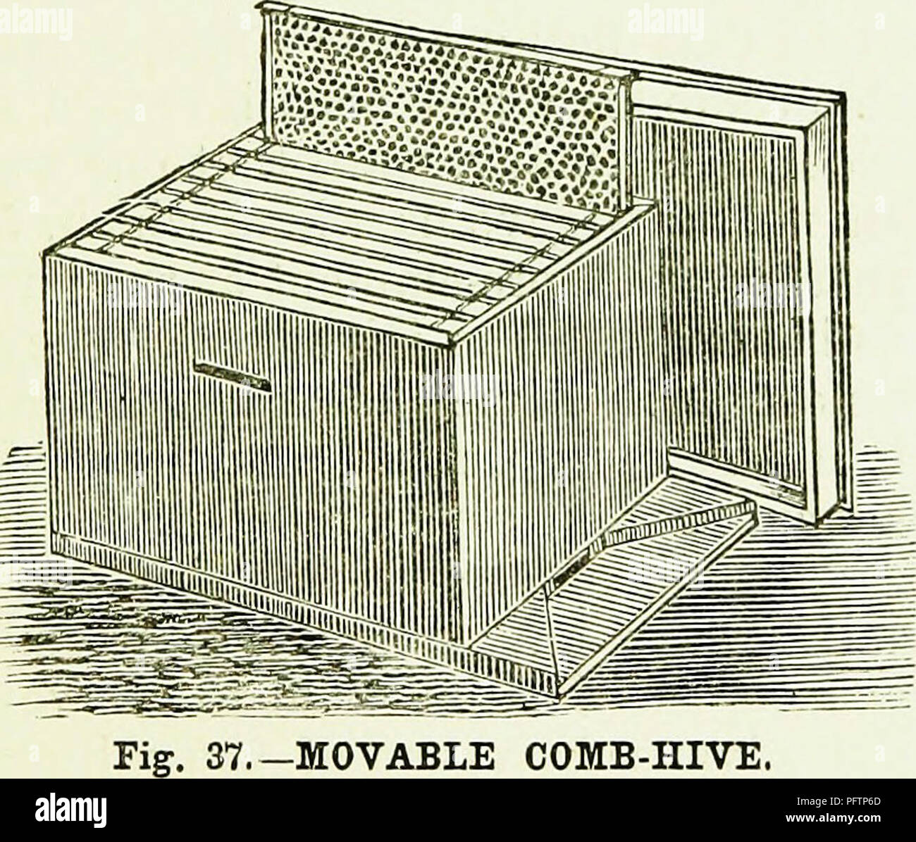 A comprehensive guide on modern beekeeping, including hives, frames ...