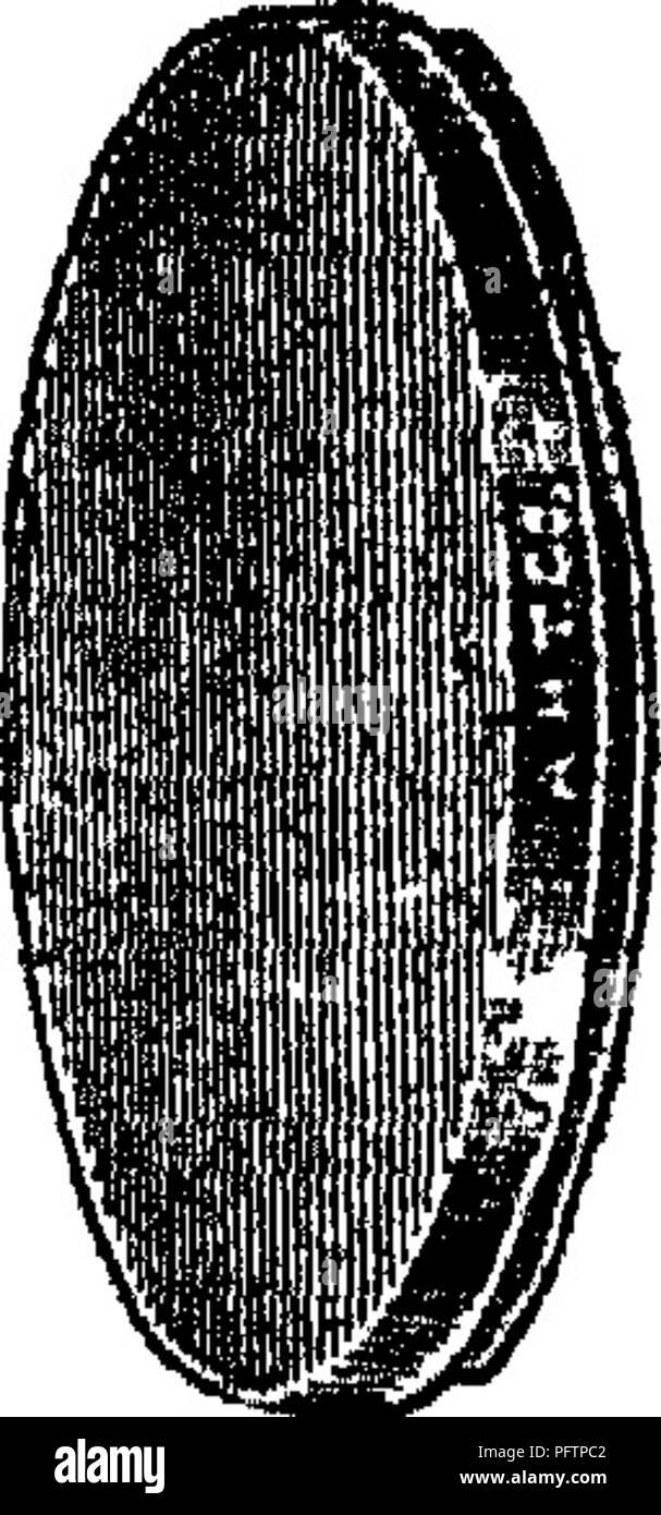 Blake stopper hi-res stock photography and images - Alamy