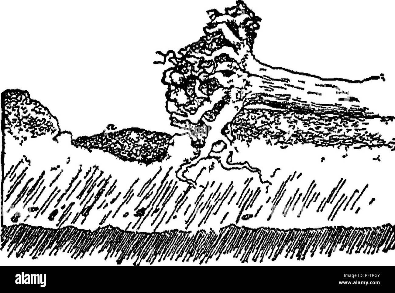 . A treatise on rocks, rock-weathering and soils;. Petrology; Soils. B ...