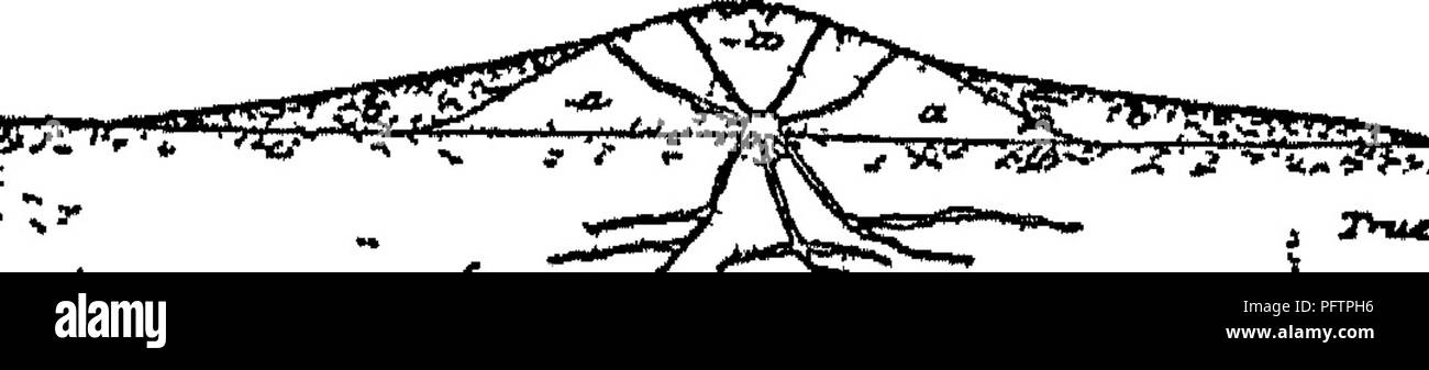 . A treatise on rocks, rock-weathering and soils;. Petrology; Soils ...