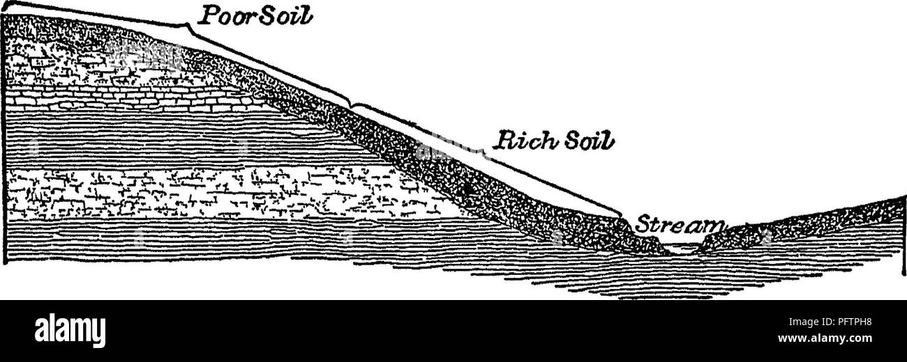This treatise explores the processes of rock weathering and the ...