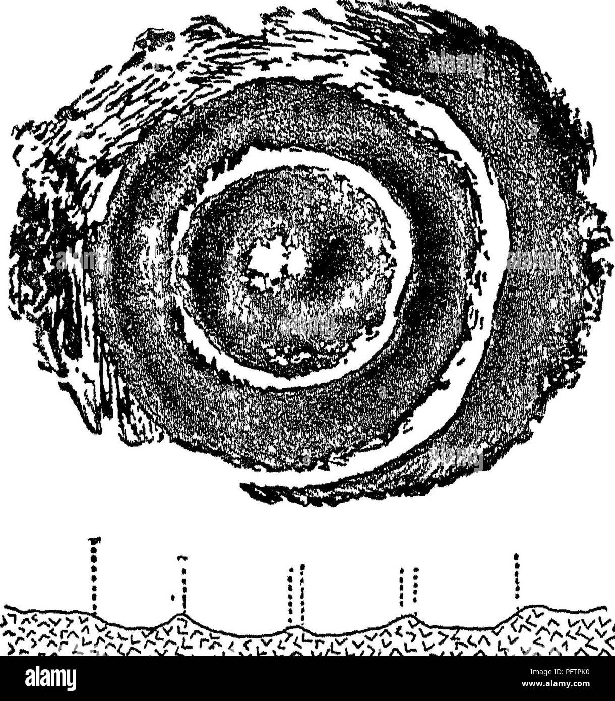 . A treatise on rocks, rock-weathering and soils;. Petrology; Soils ...