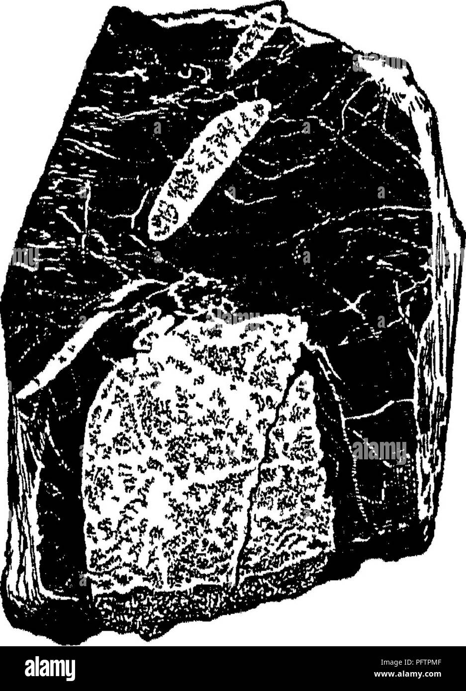 Serpentine soils Black and White Stock Photos & Images - Alamy