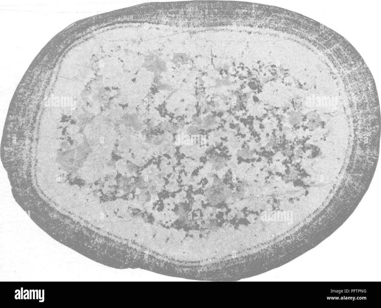 This treatise covers the geological study of rocks, rock-weathering ...