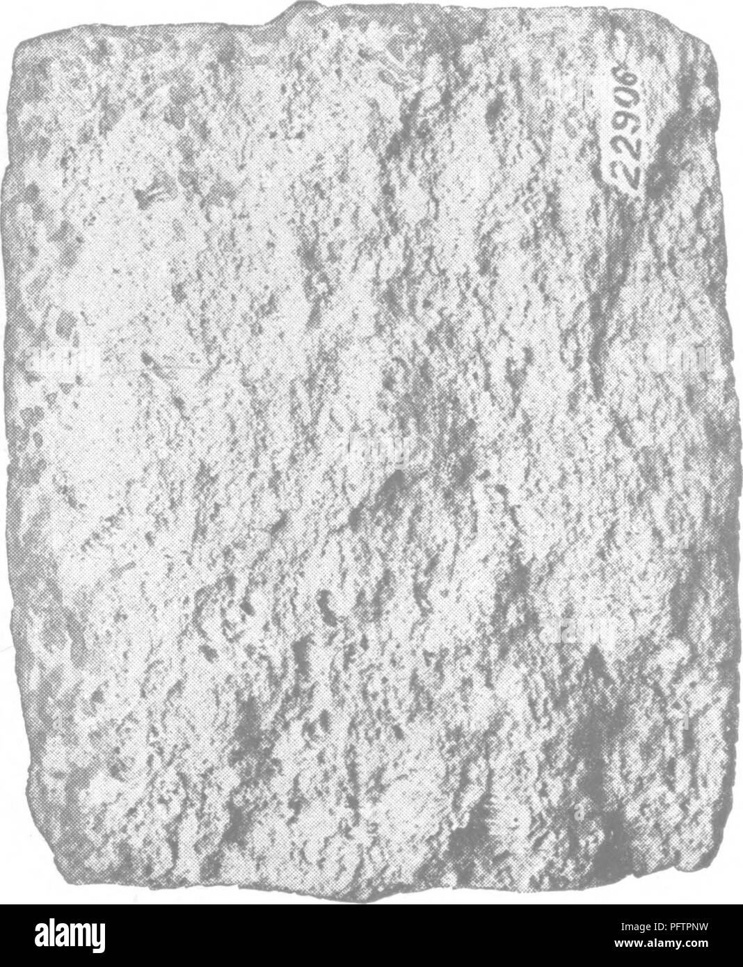 This treatise covers the study of rocks, their weathering processes ...