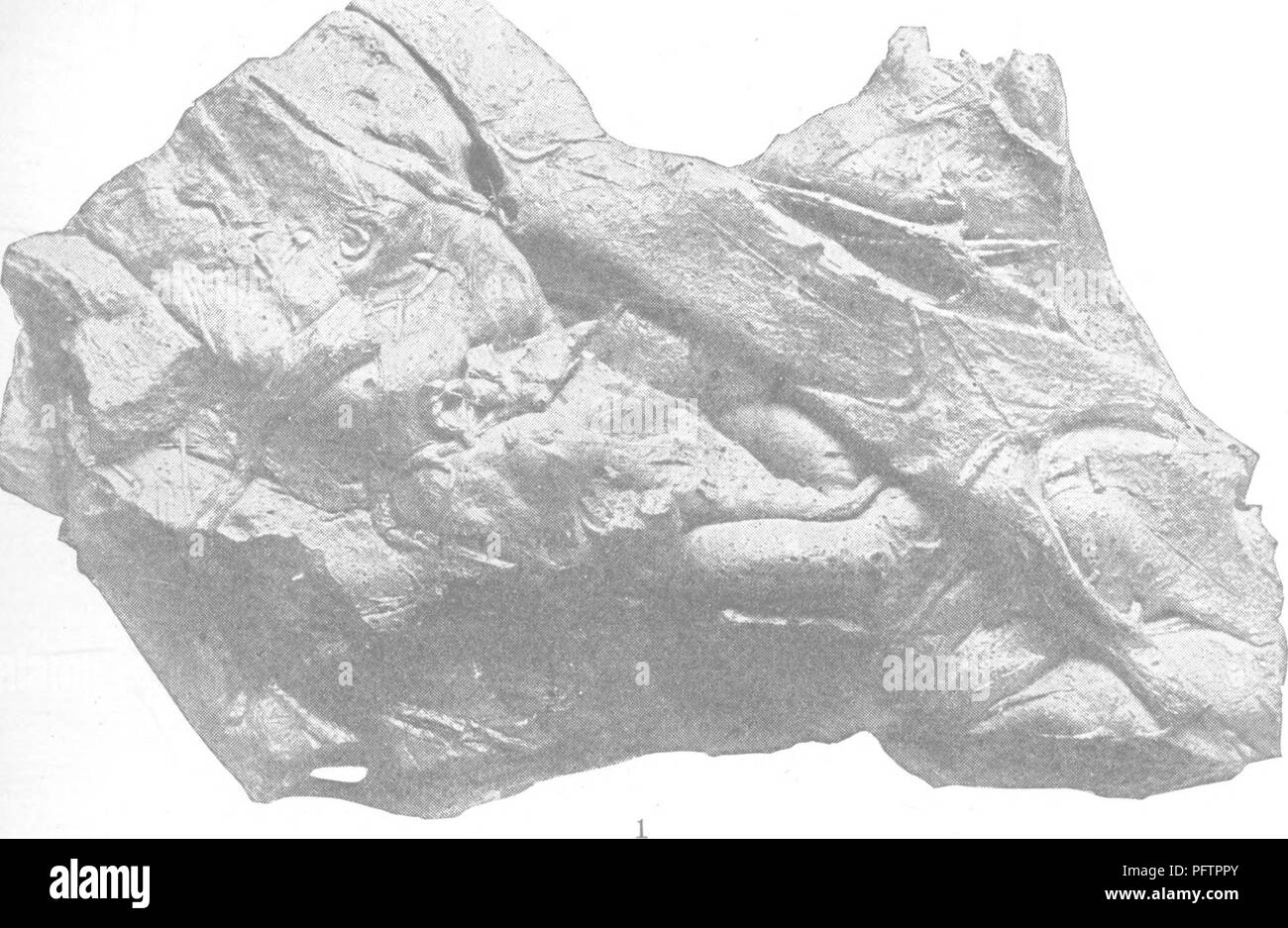 This treatise explores the processes of rock weathering and the ...