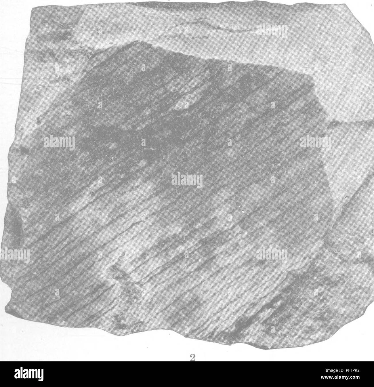 Porphyry quartz Black and White Stock Photos & Images - Alamy