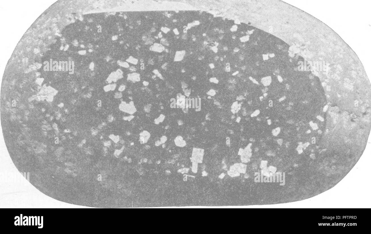 This treatise explores the geological processes involved in rock ...