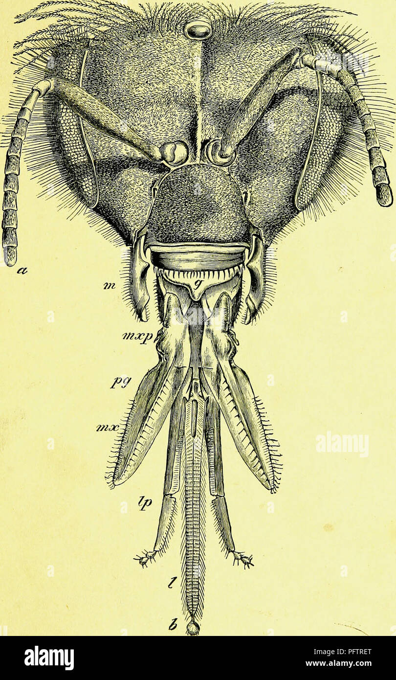 Keeping antenna hi-res stock photography and images - Alamy