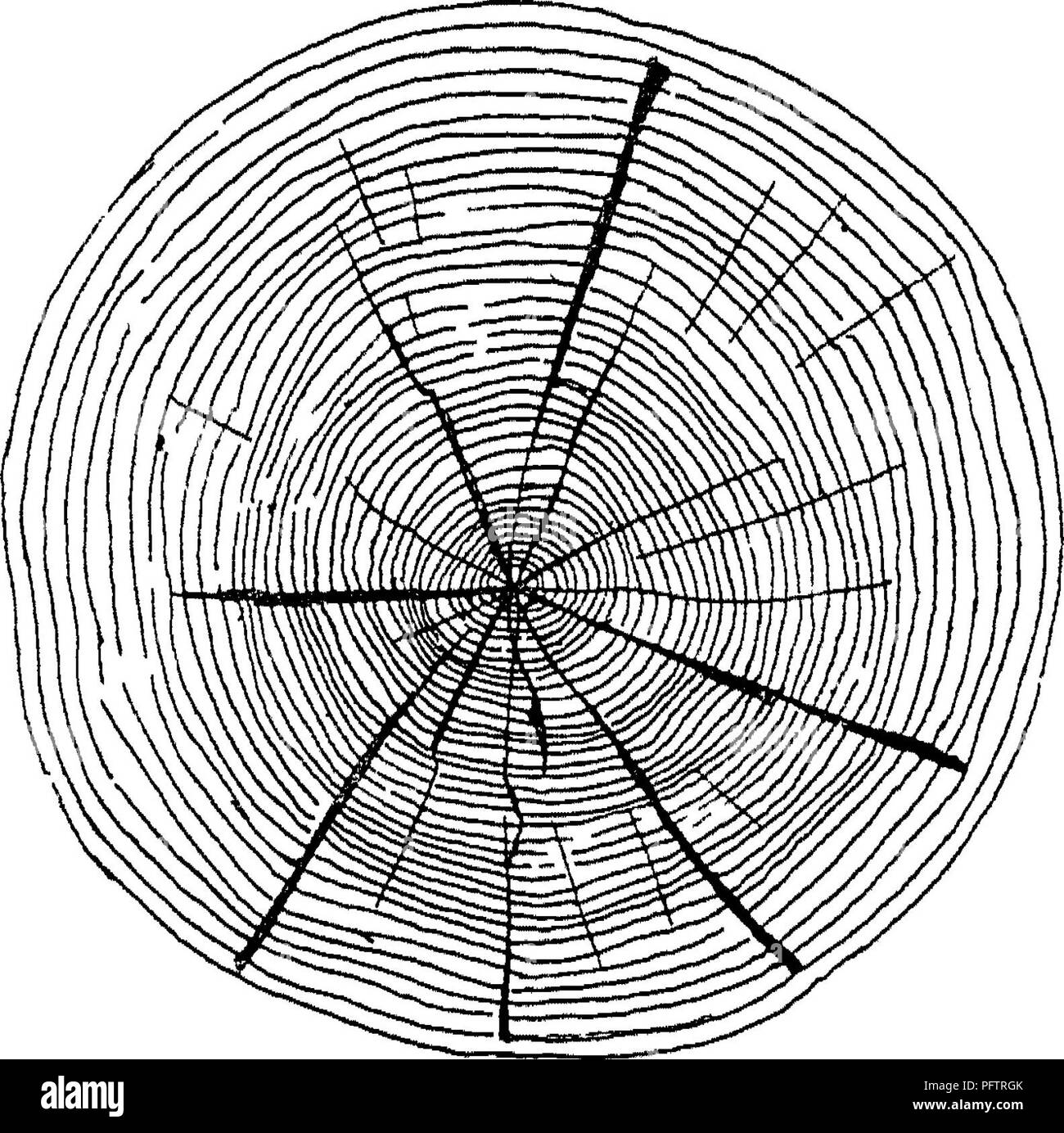 Shake_down Black and White Stock Photos & Images - Alamy