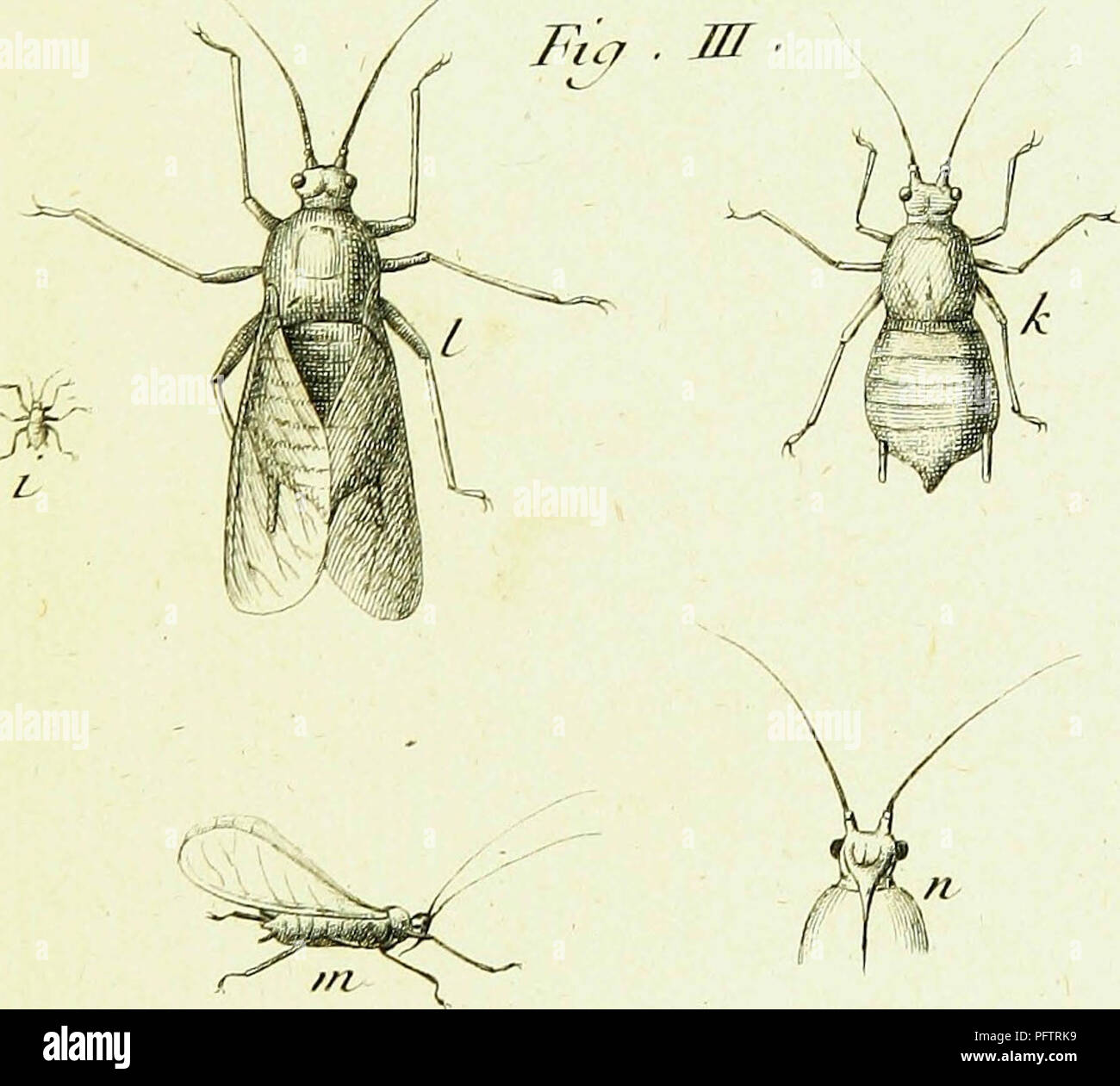 This work by Etienne-Louis Geoffroy provides a summarized history of ...