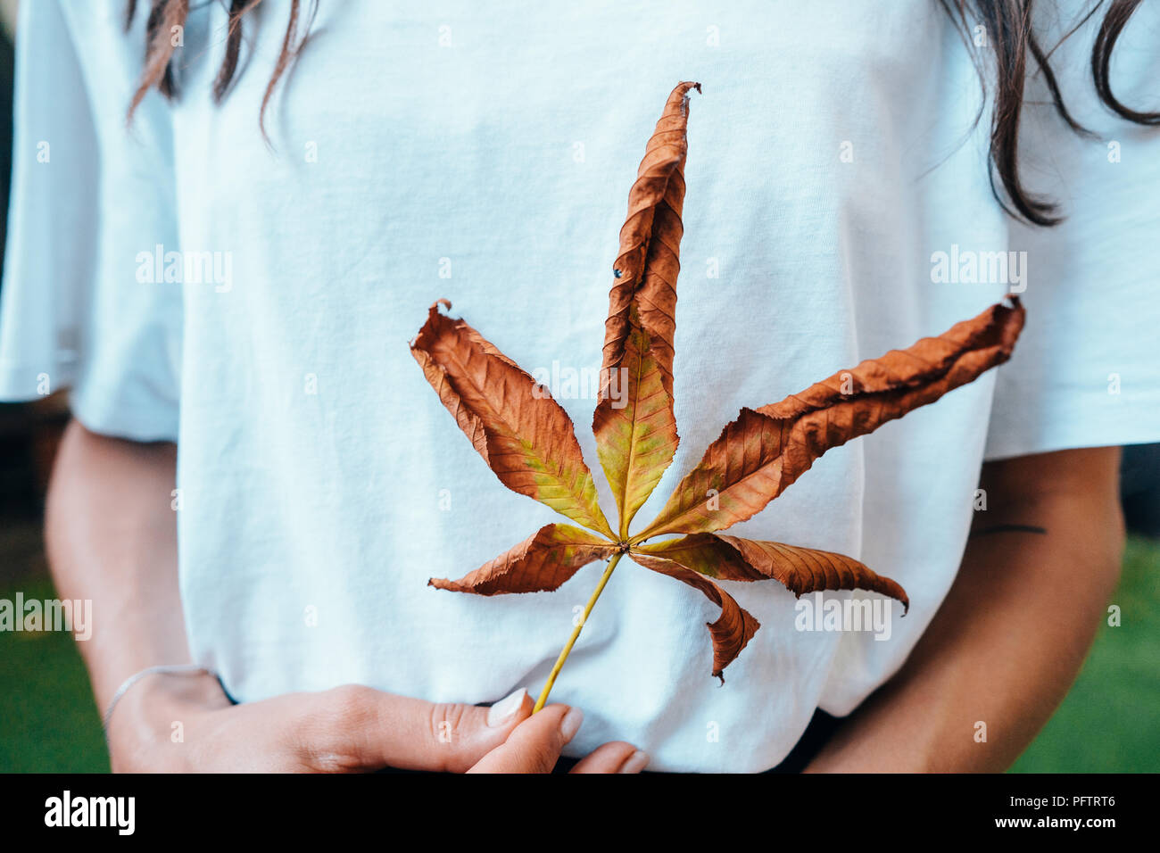 Woman hold nice yellow leaf in hand Stock Photo - Alamy