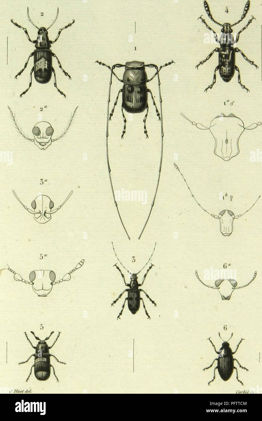 This work presents a systematic and critical exposition of the genera ...