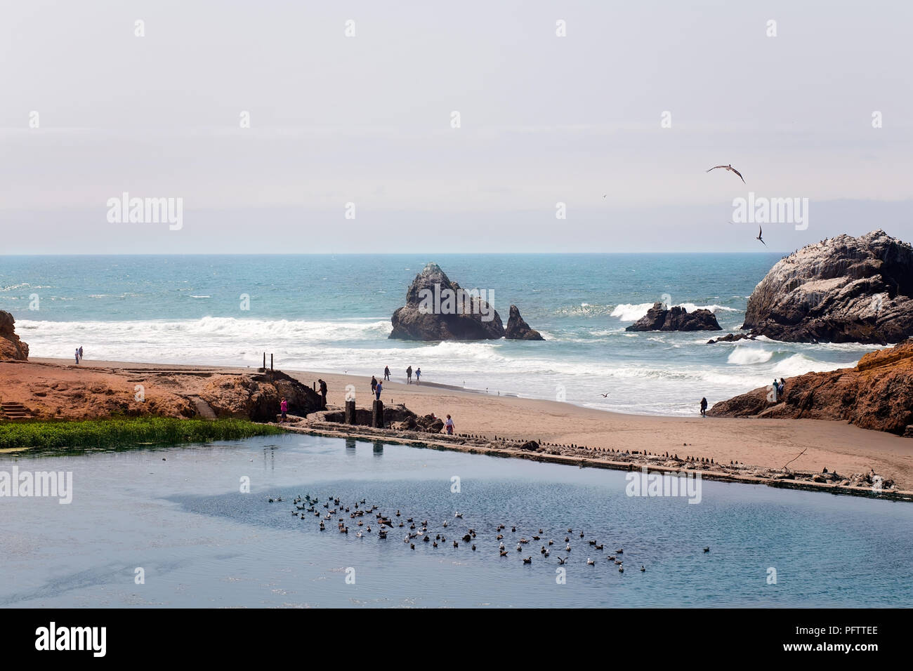 Ocean beach san francisco hi-res stock photography and images - Alamy