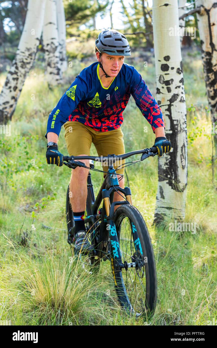 Teenage boy mountain biking through Aspen tree meadow; Poncha Pass ...
