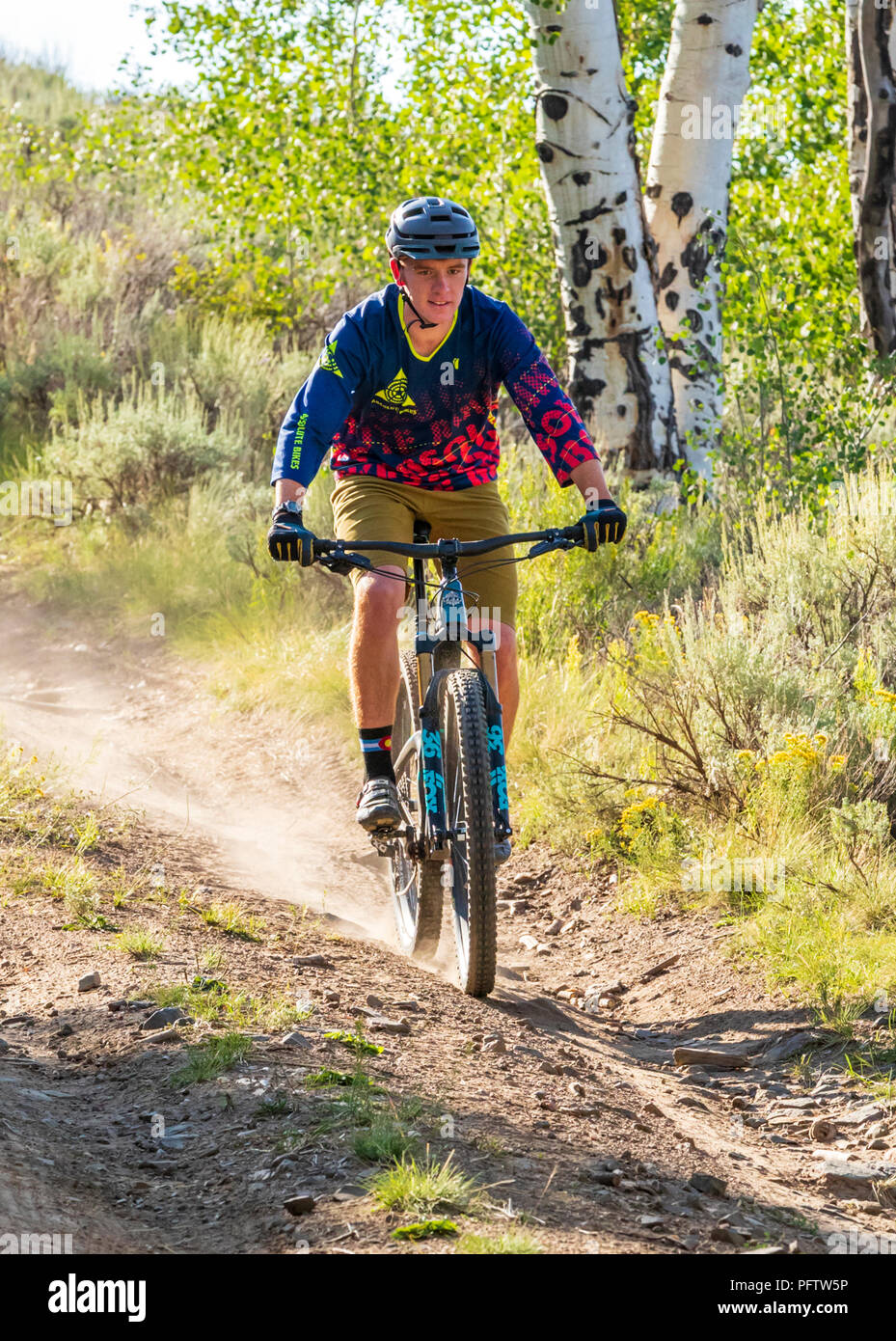 Teenage boy mountain biking through Aspen tree meadow; Poncha Pass ...