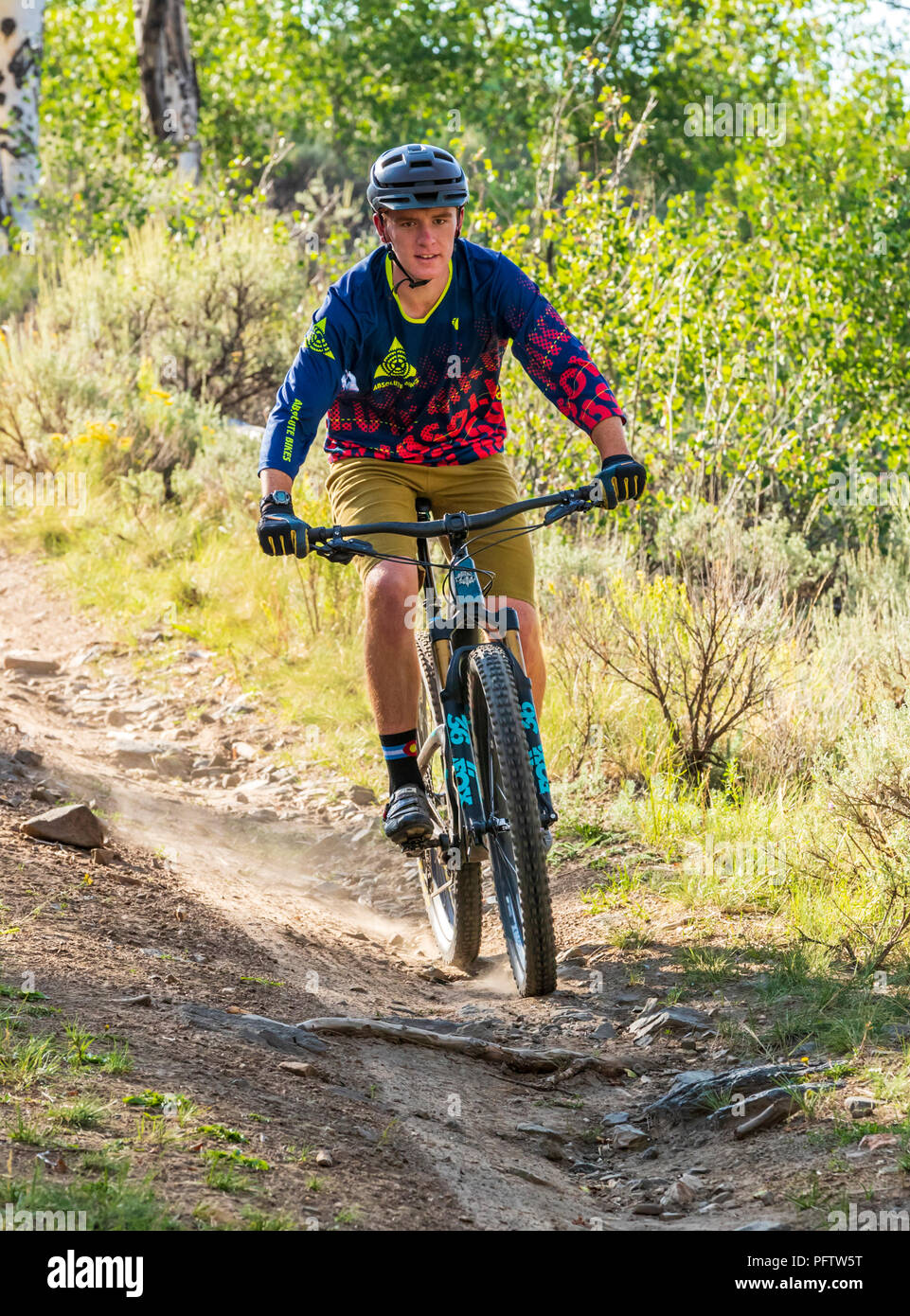 Teenage boy mountain biking through Aspen tree meadow; Poncha Pass ...
