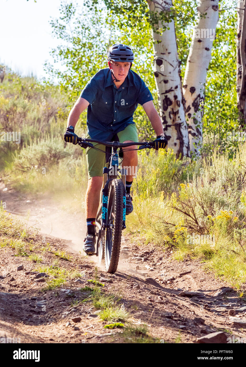 Teenage boy mountain biking through Aspen tree meadow; Poncha Pass ...