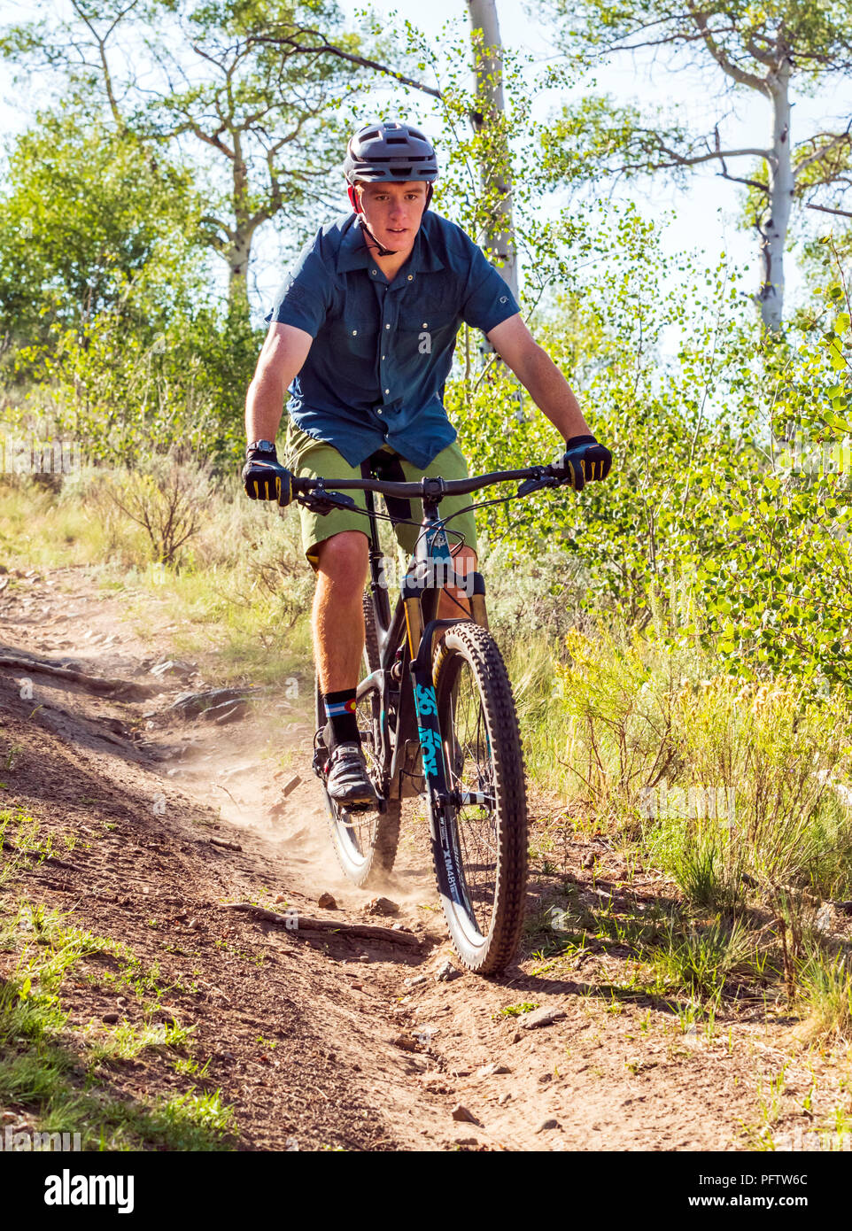 Teenage boy mountain biking through Aspen tree meadow; Poncha Pass ...