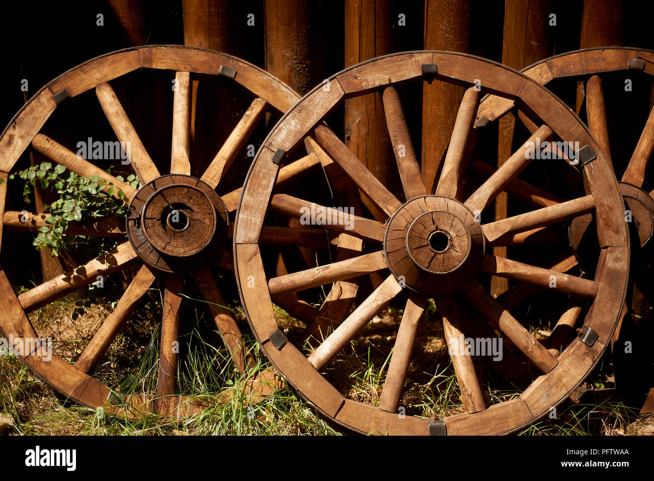 Ancient Wooden Wheel