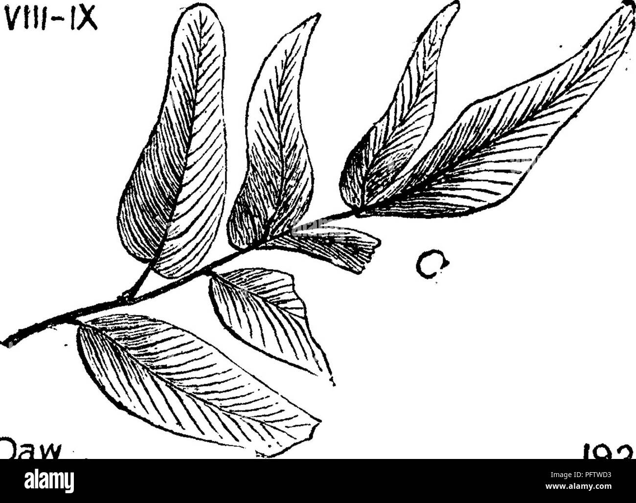 Devonian shales hi-res stock photography and images - Alamy