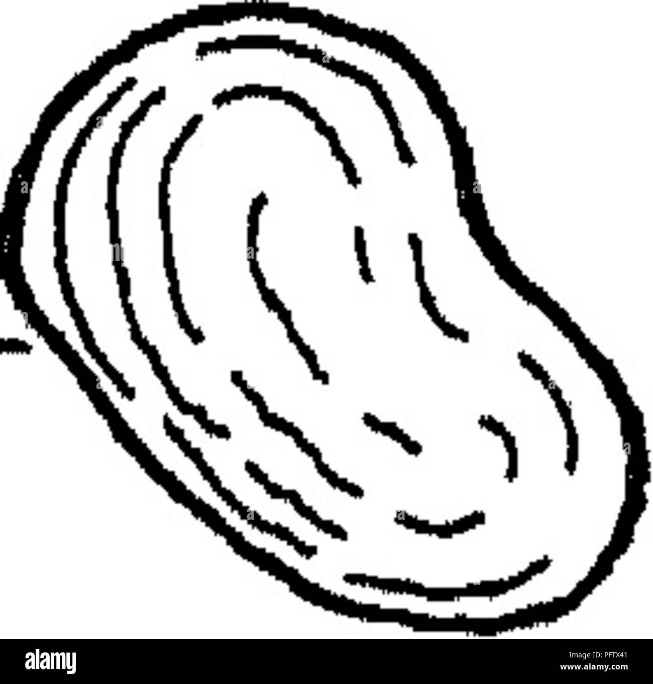 sand and soil coloring pages