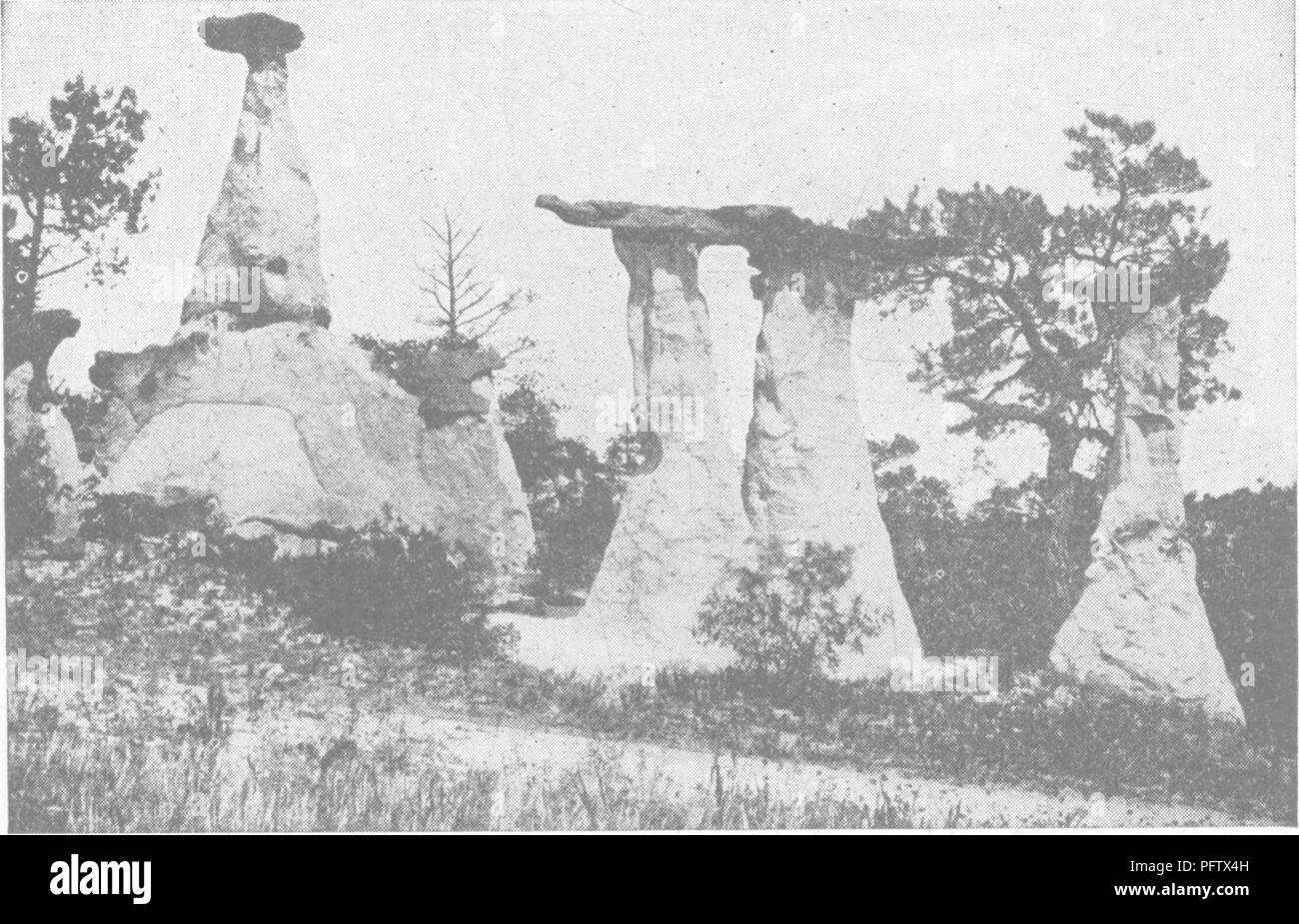 . Productive soils; the fundamentals of successful soil management and ...