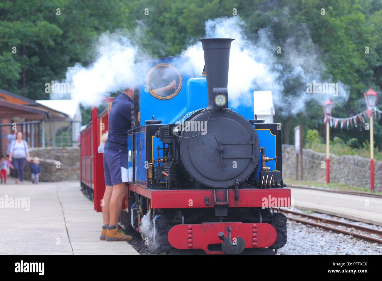Narrow gauge blue steam train hi-res stock photography and images - Alamy
