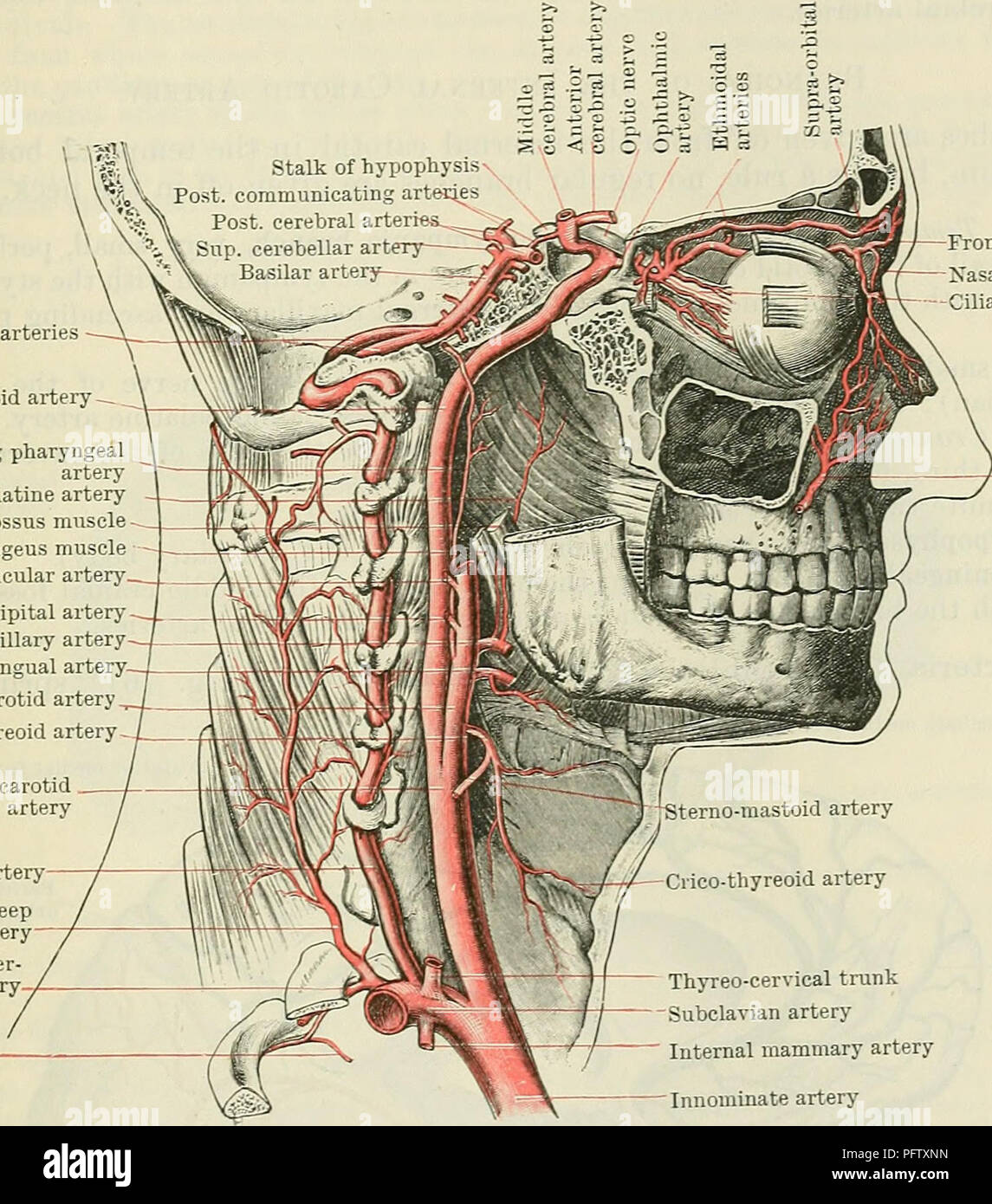 Occi text hi-res stock photography and images - Alamy