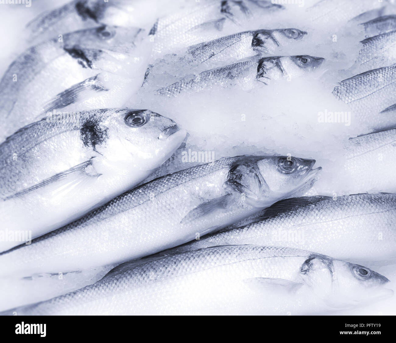 fresh sea fish in market Stock Photo - Alamy