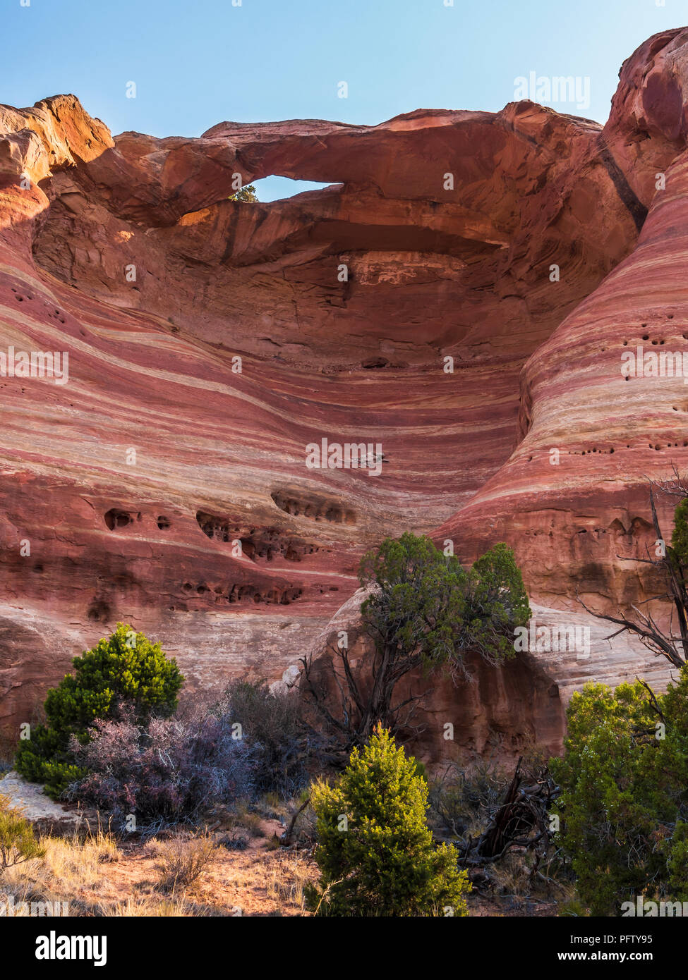 Eye Arch, Rattlesnake Canyon, Black Ridge Wilderness Area, McInnis ...