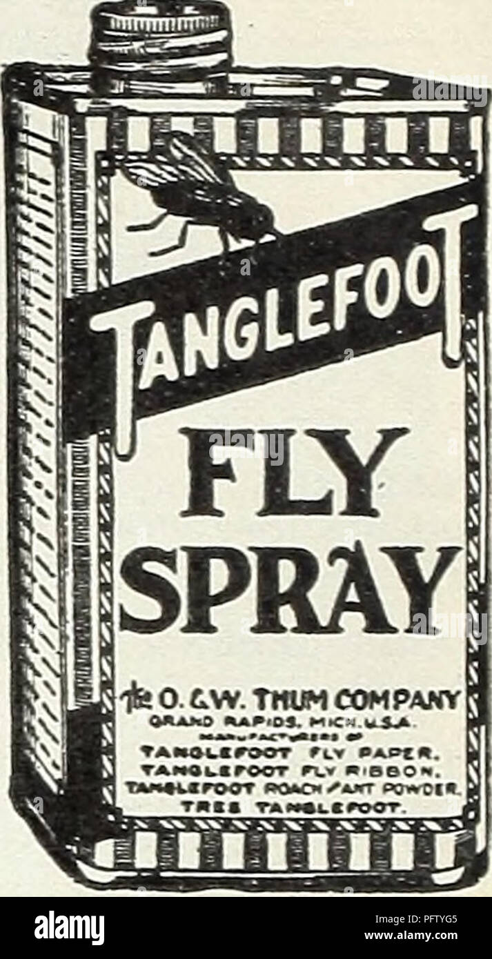 Tanglefoot hi-res stock photography and images - Alamy