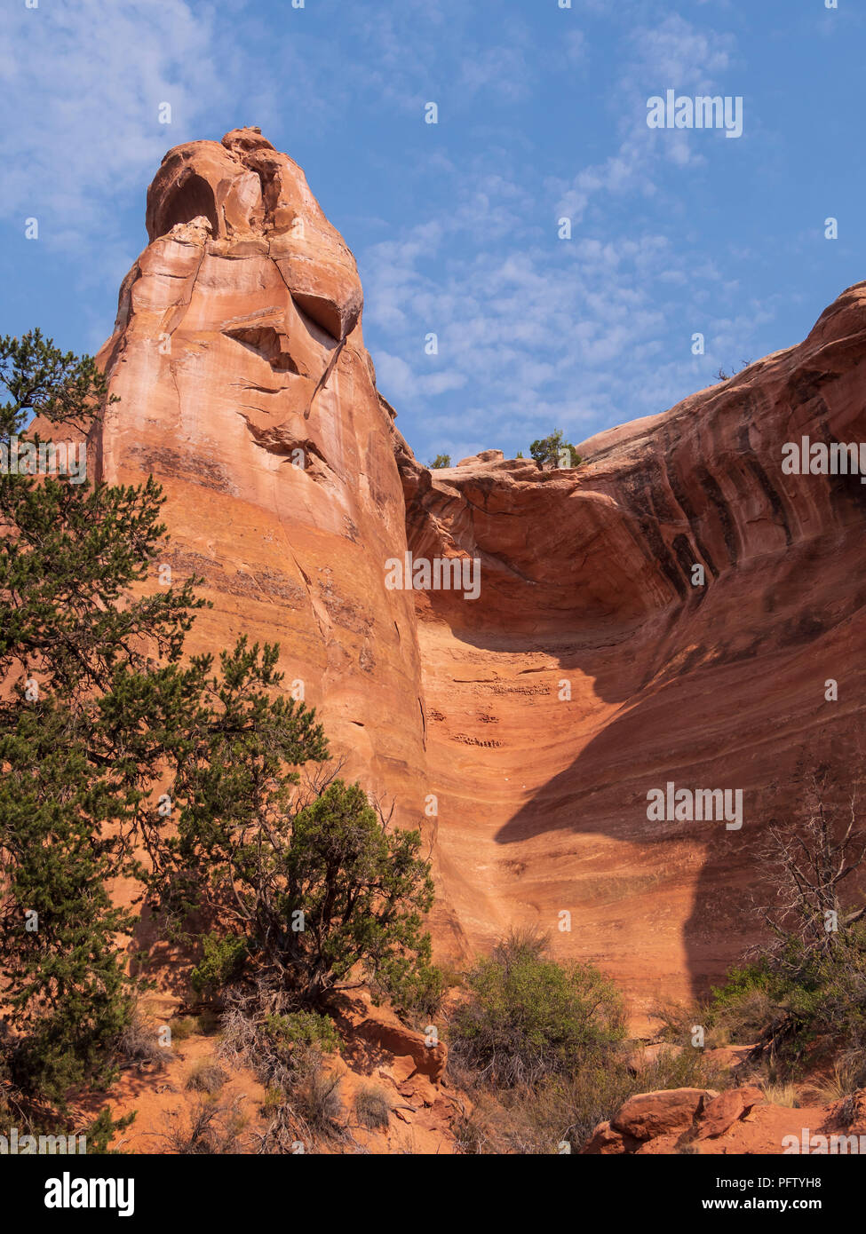 Walls of Rattlesnake Canyon, Black Ridge Wilderness Area, McInnis ...