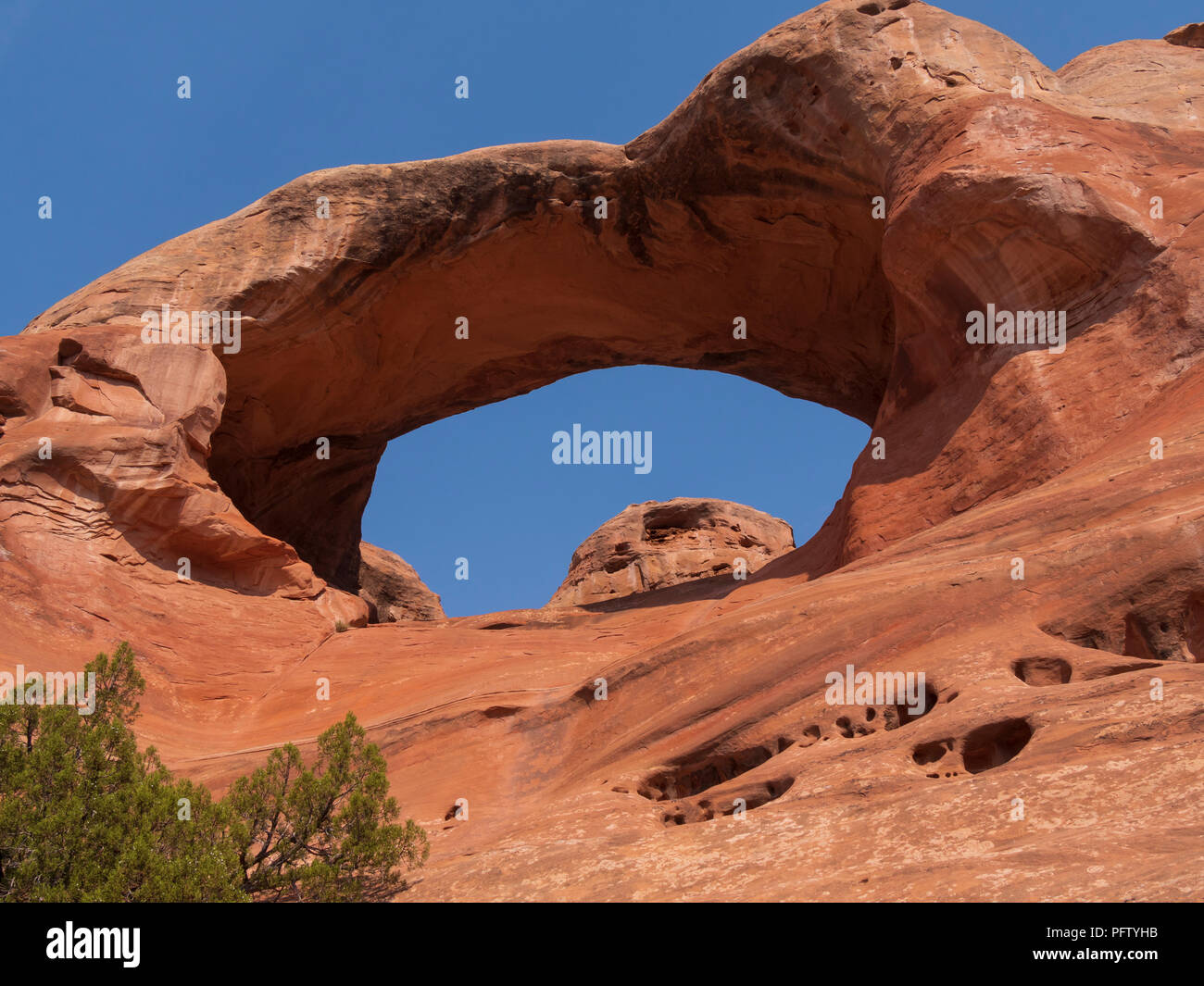 Cedar tree arch colorado High Resolution Stock Photography and Images ...