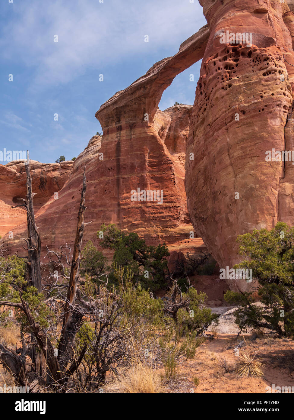 Akiti Arch (aka East Rim or Centennial Arch) in Rattlesnake Canyon ...