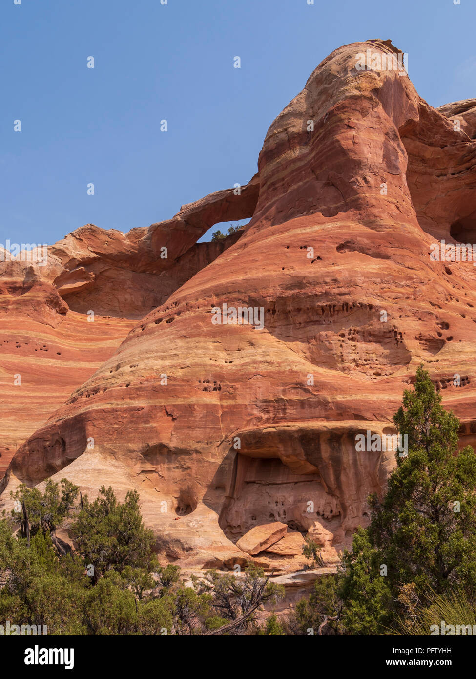 Eye Arch, Rattlesnake Canyon, Black Ridge Wilderness Area, McInnis ...
